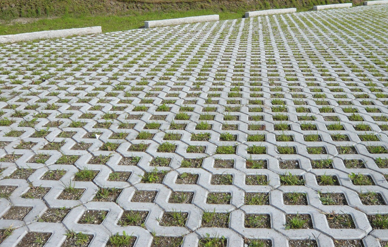 Rasengitterstein Grau 33/33/8 cm | Lagerhaus Salzburg